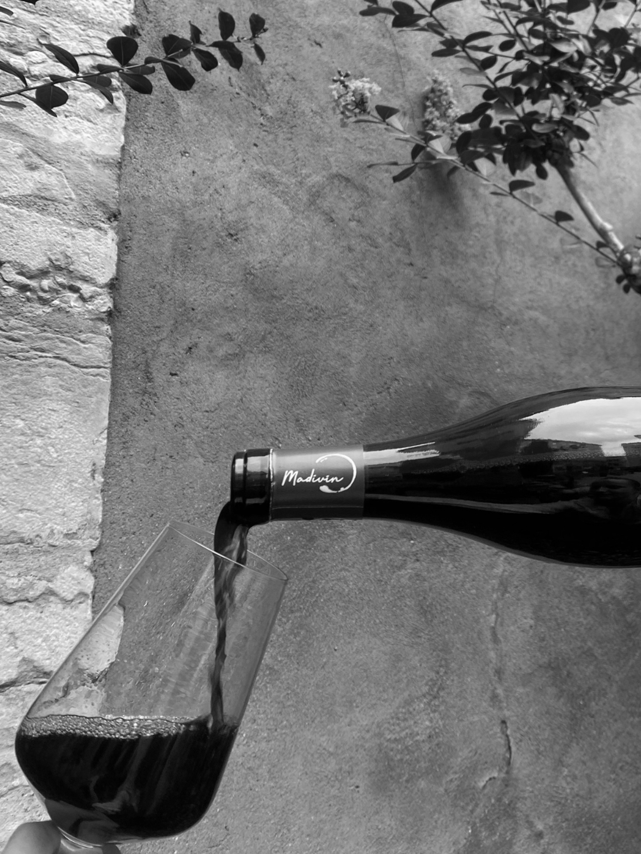 🍷MADIVIN - Le vin collaboratif